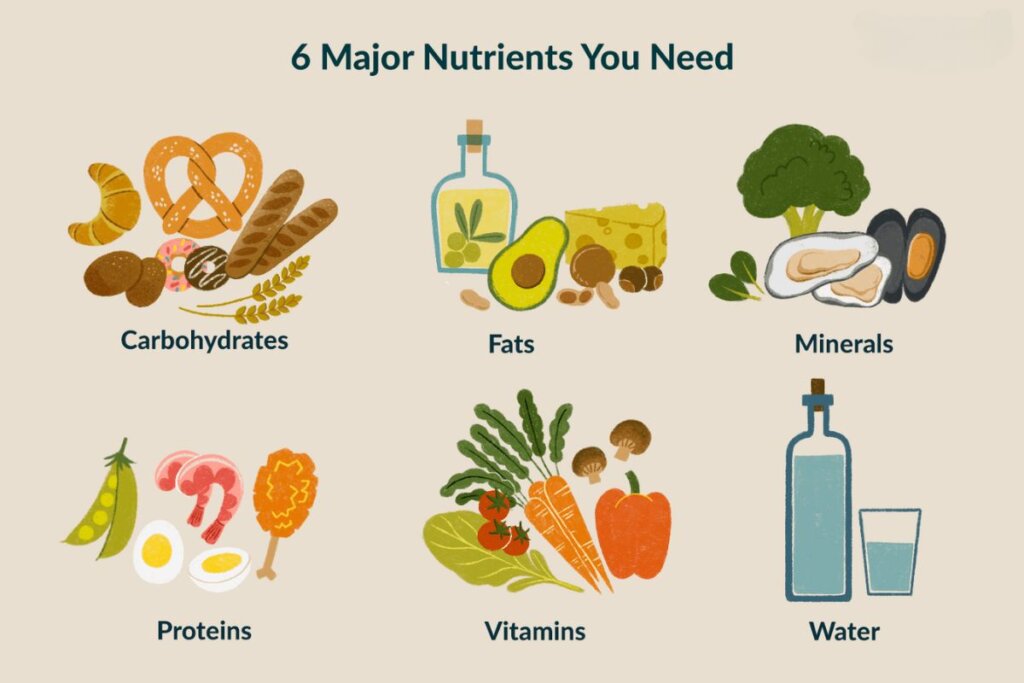 How Many Nutrients Does the Human Body Need? Expert Insights
